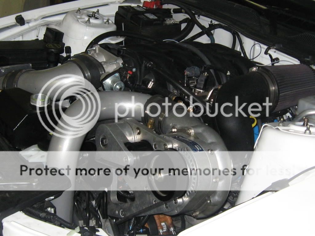 Added some engine color | S197 Mustang Forum - S197Forum.com