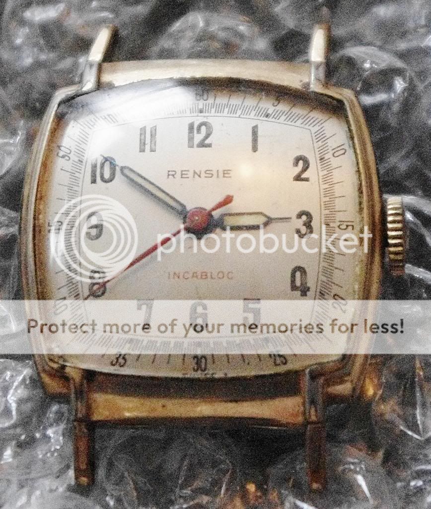 Anyone Know About Rensie ? | WATCH TALK FORUMS